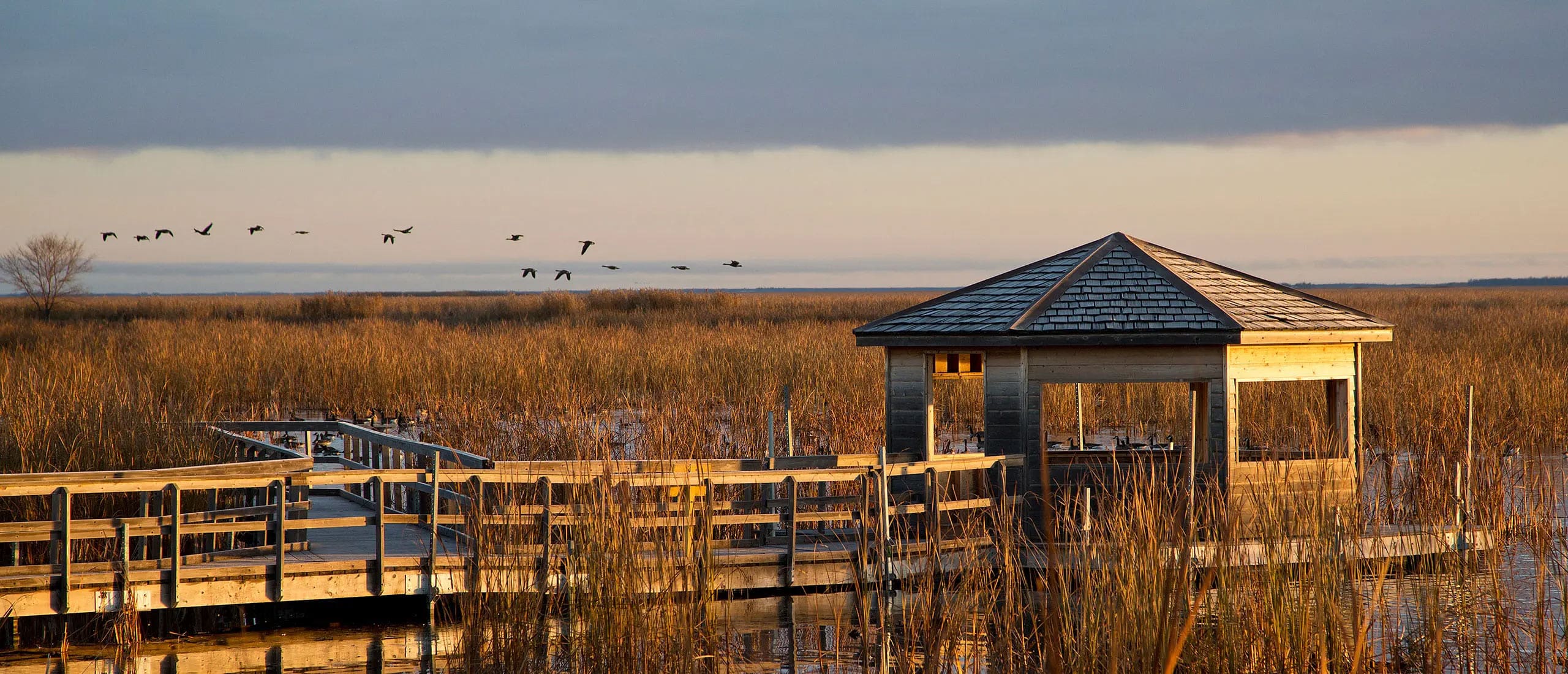 Media Requests — Ducks Unlimited Canada