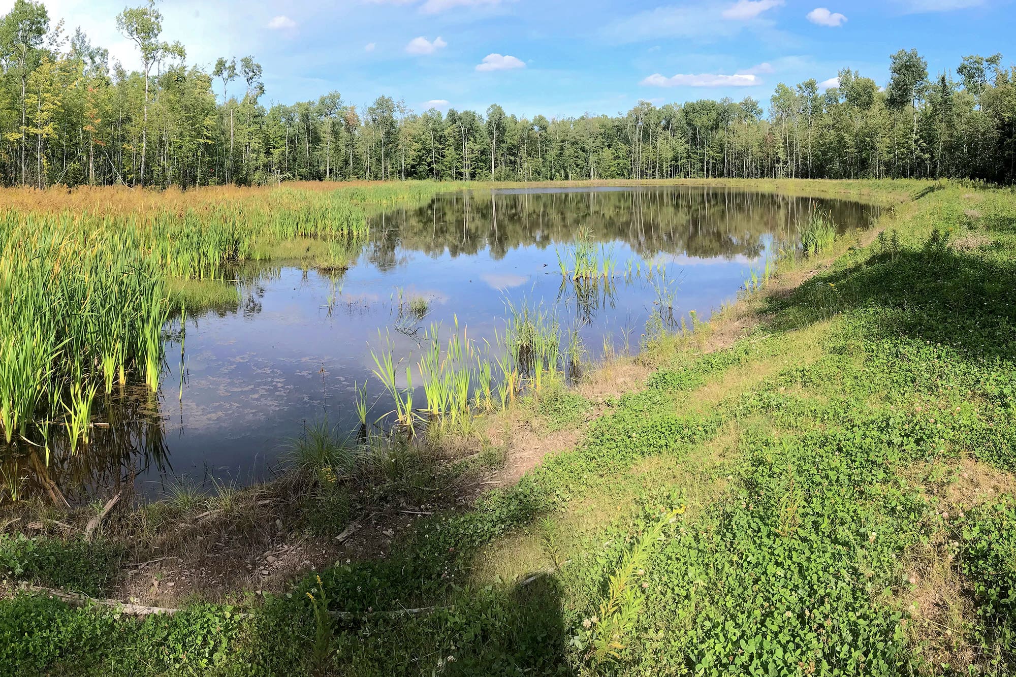 Amazing feats of nature! — Ducks Unlimited Canada
