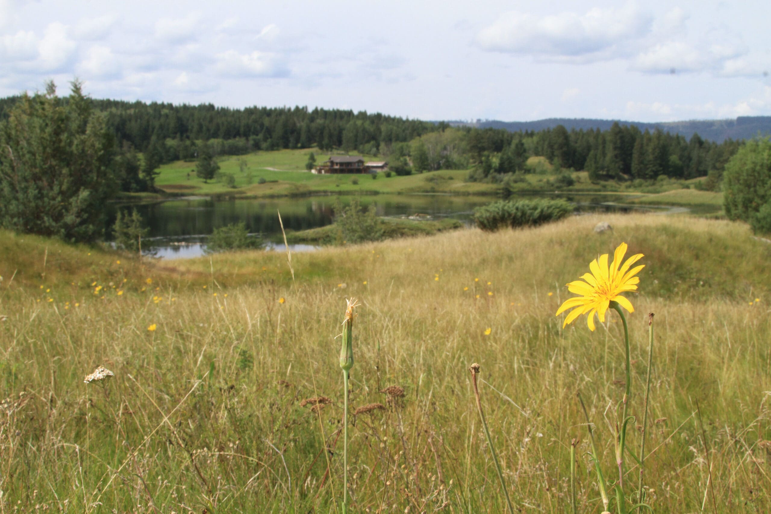 New Ducks Unlimited Canada Tool Maps Prairie Biodiversity — Ducks ...