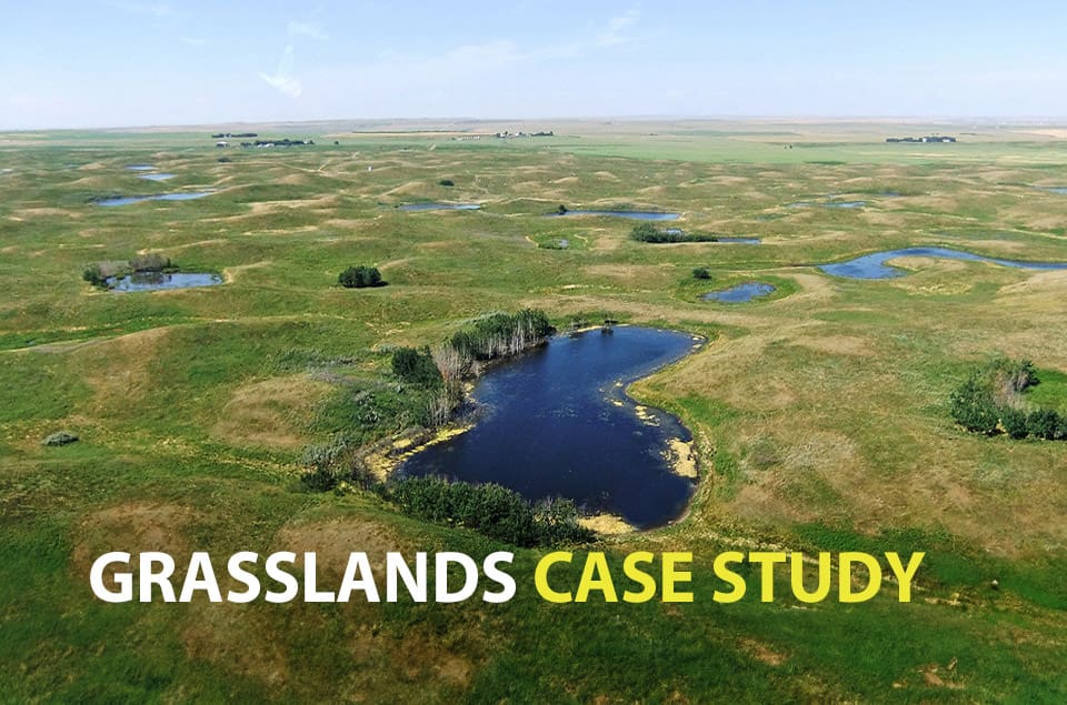 The Grasslands Case Study — Ducks Unlimited Canada