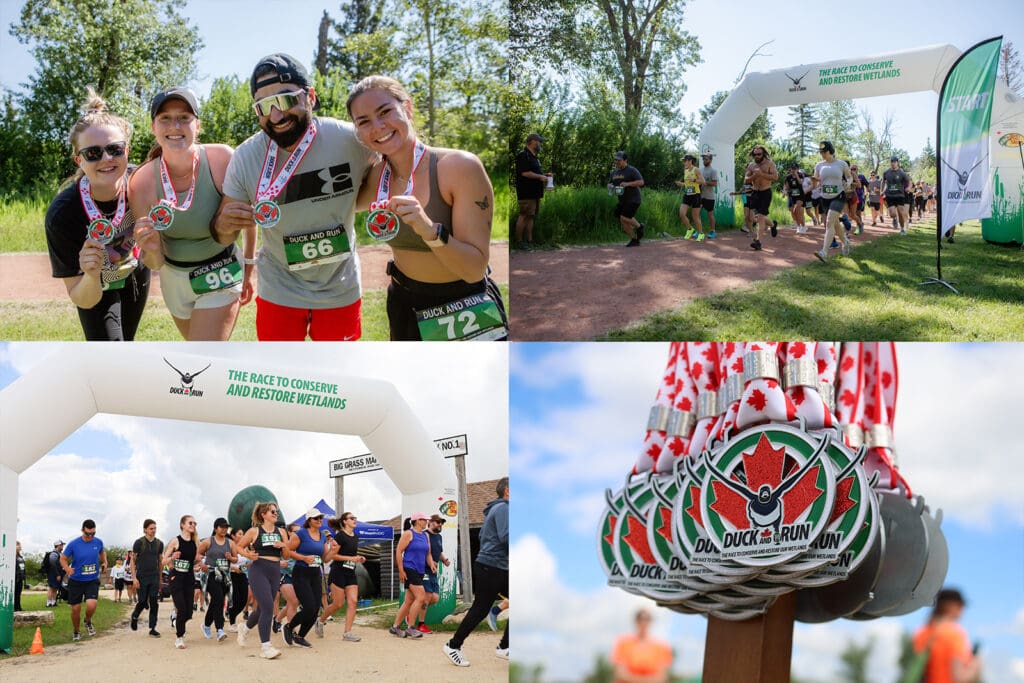 Duck and Run Updates — Ducks Unlimited Canada