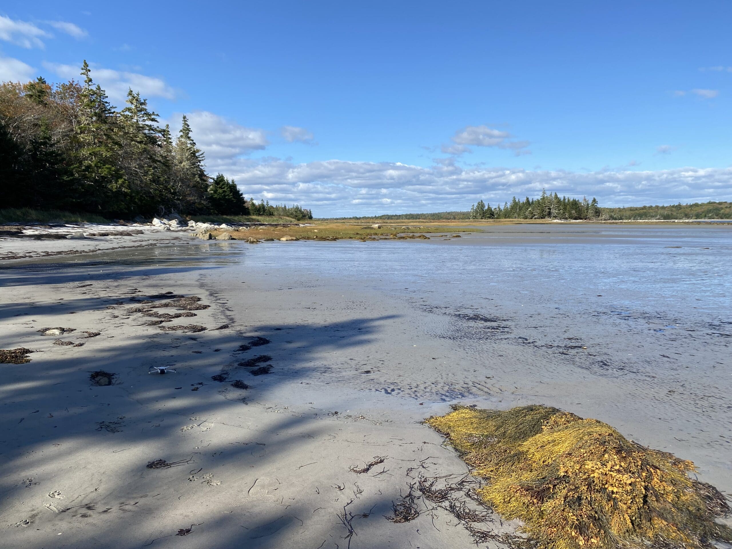 Ducks Unlimited Canada safeguards two Nova Scotia salt marshes — Ducks ...