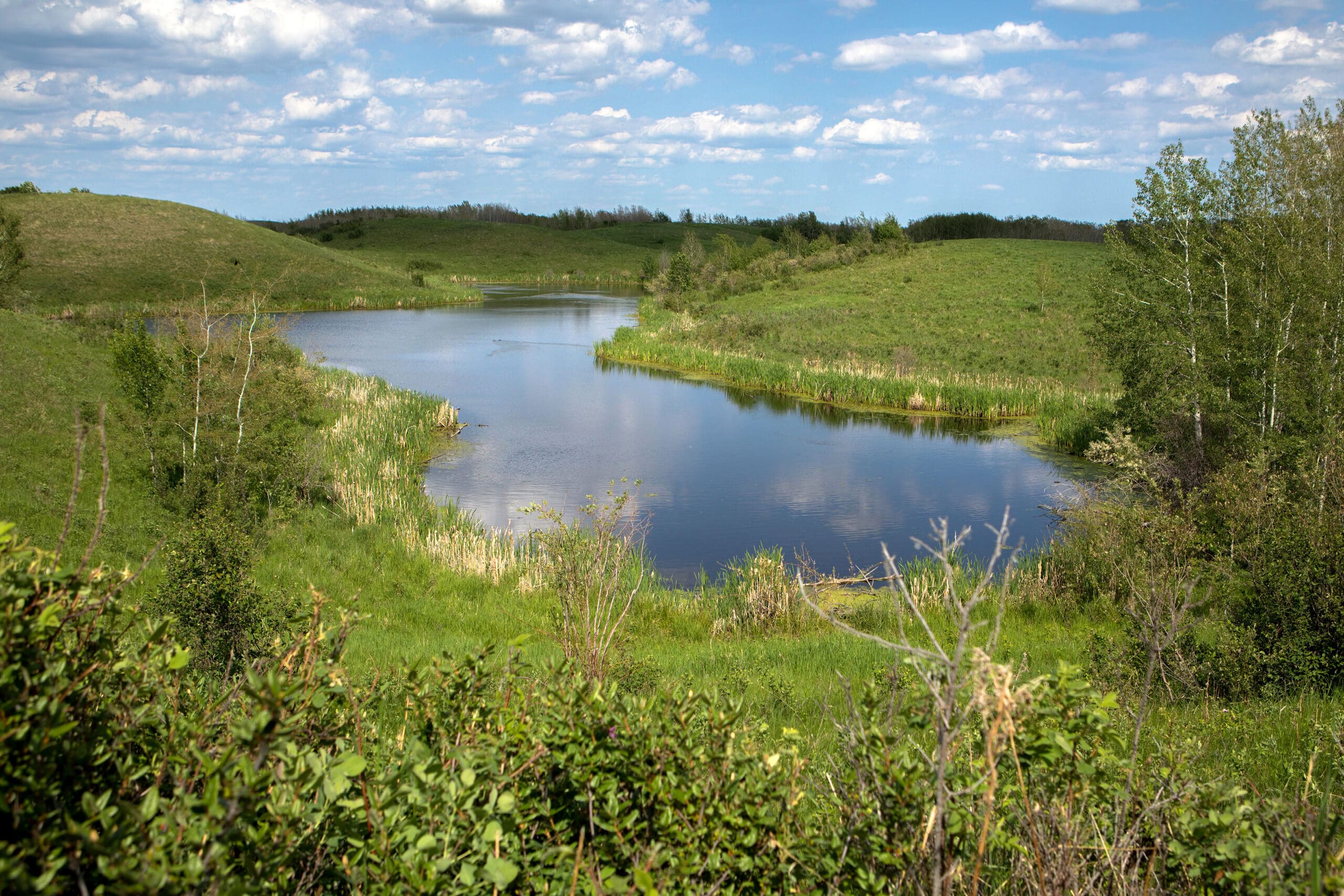 The role of wetlands in Alberta's groundwater — Ducks Unlimited Canada