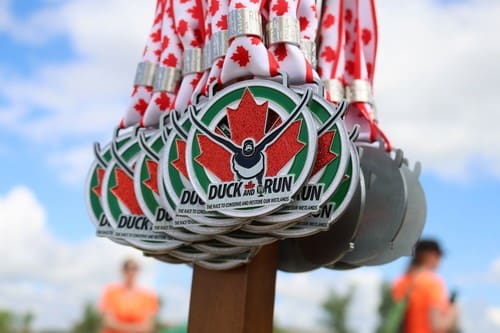 Duck and Run: DUC's annual race for wetlands returns to communities ...