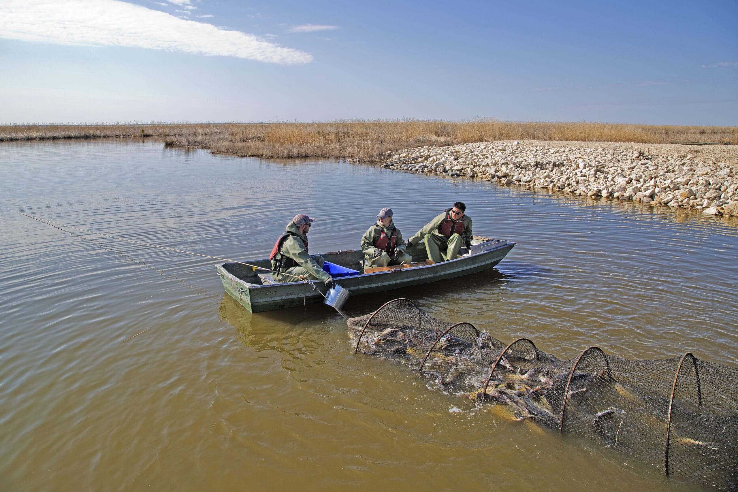 Conserving Fish Habitats — Ducks Unlimited Canada